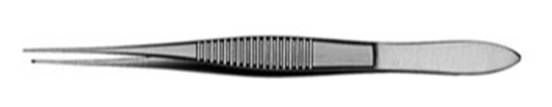 Micro Dissecting Forceps | ITSBio
