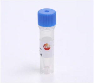 PuRetro™ Lentivirus and Retrovirus Purification Kit (5 U) | ITSBio