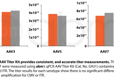 qPCR Adeno-Associated Virus Titration (Titer) Kit | ITSBio