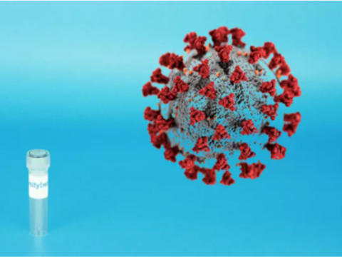 affinityimmuno main | ITSBio