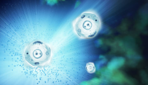 Cell Based Assay Products | ITSBio