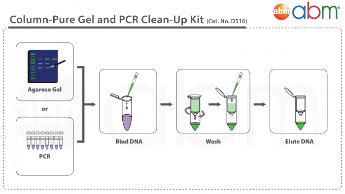 d516_column-pure-gel-pcr-clean-up-kit_v3 | ITSBio