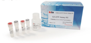 EZ-ATP Assay Kit | ITSBio